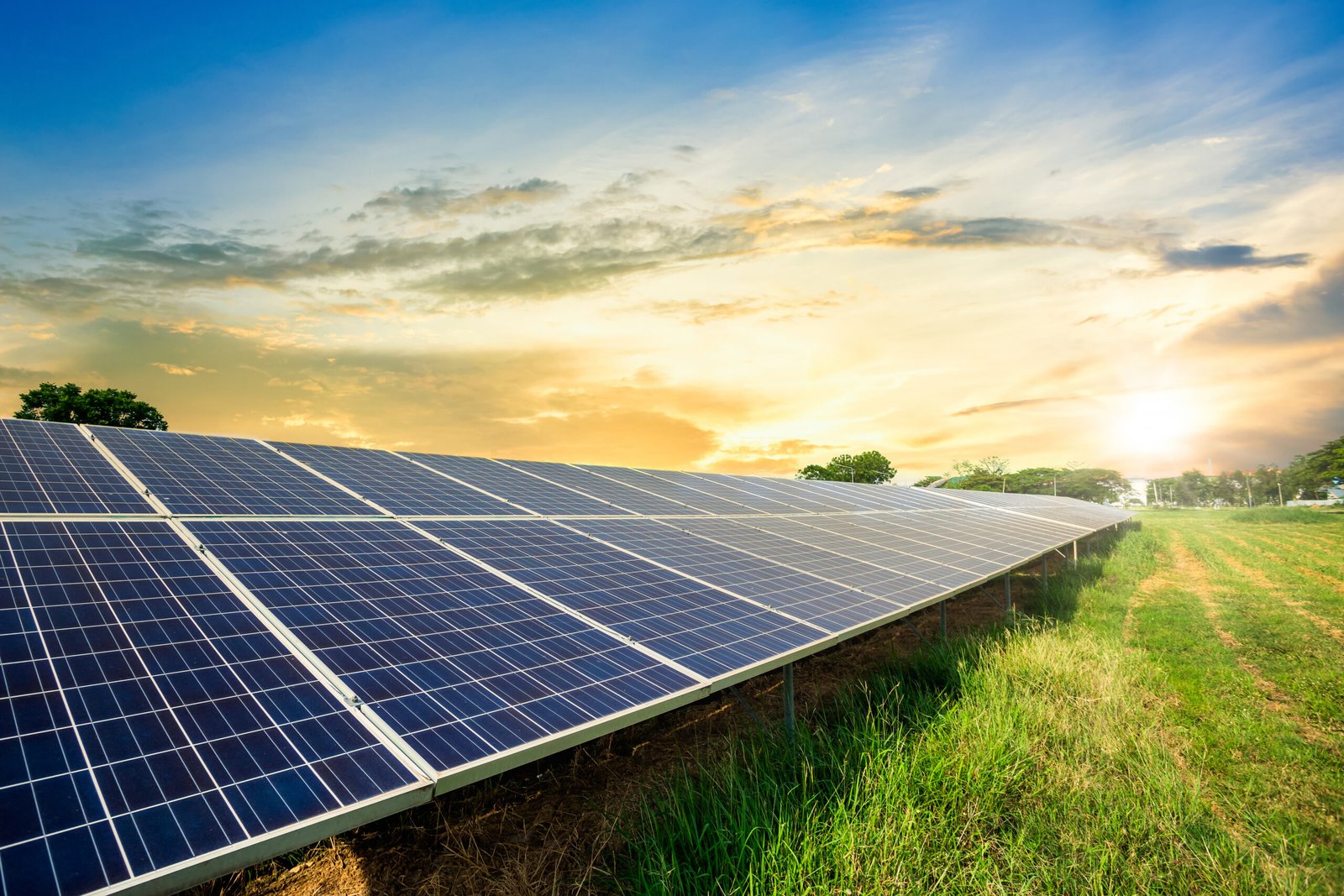 Why Solar Energy Stocks Will Shape India's Clean Energy Future